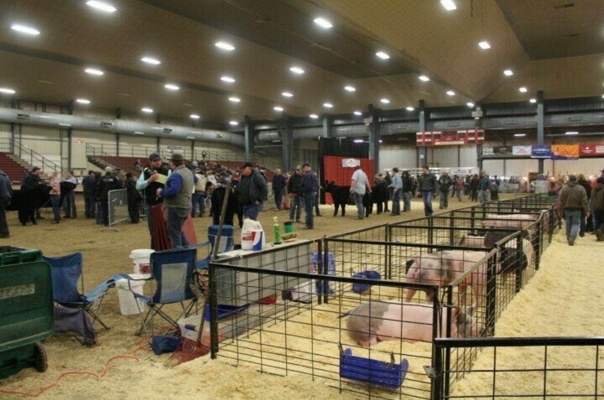 W.H. Lyon Fairgrounds | Experience Sioux Falls