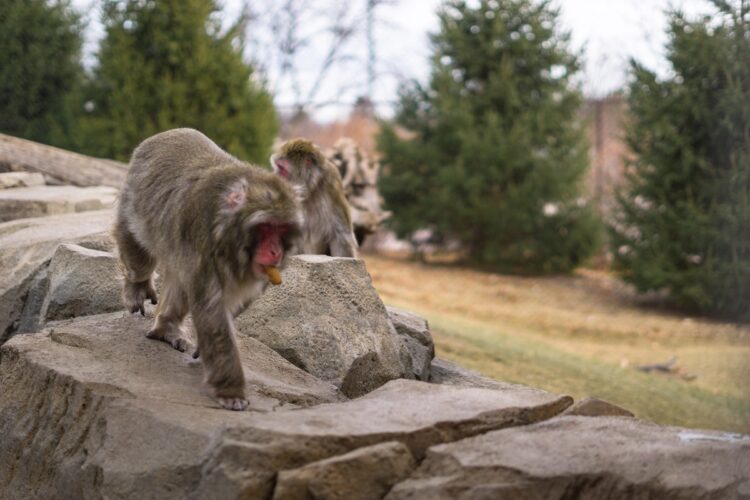 Drake Springs Family Aquatic Center & Nelson… | Experience Sioux Falls