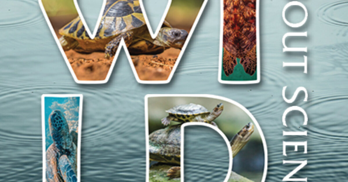 Wild About Science: Turtles and Tortoises | Experience Sioux Falls