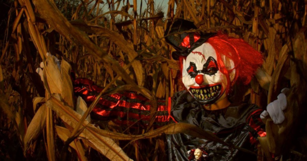 HAUNTED Heartland Country Corn Maze | Experience Sioux Falls
